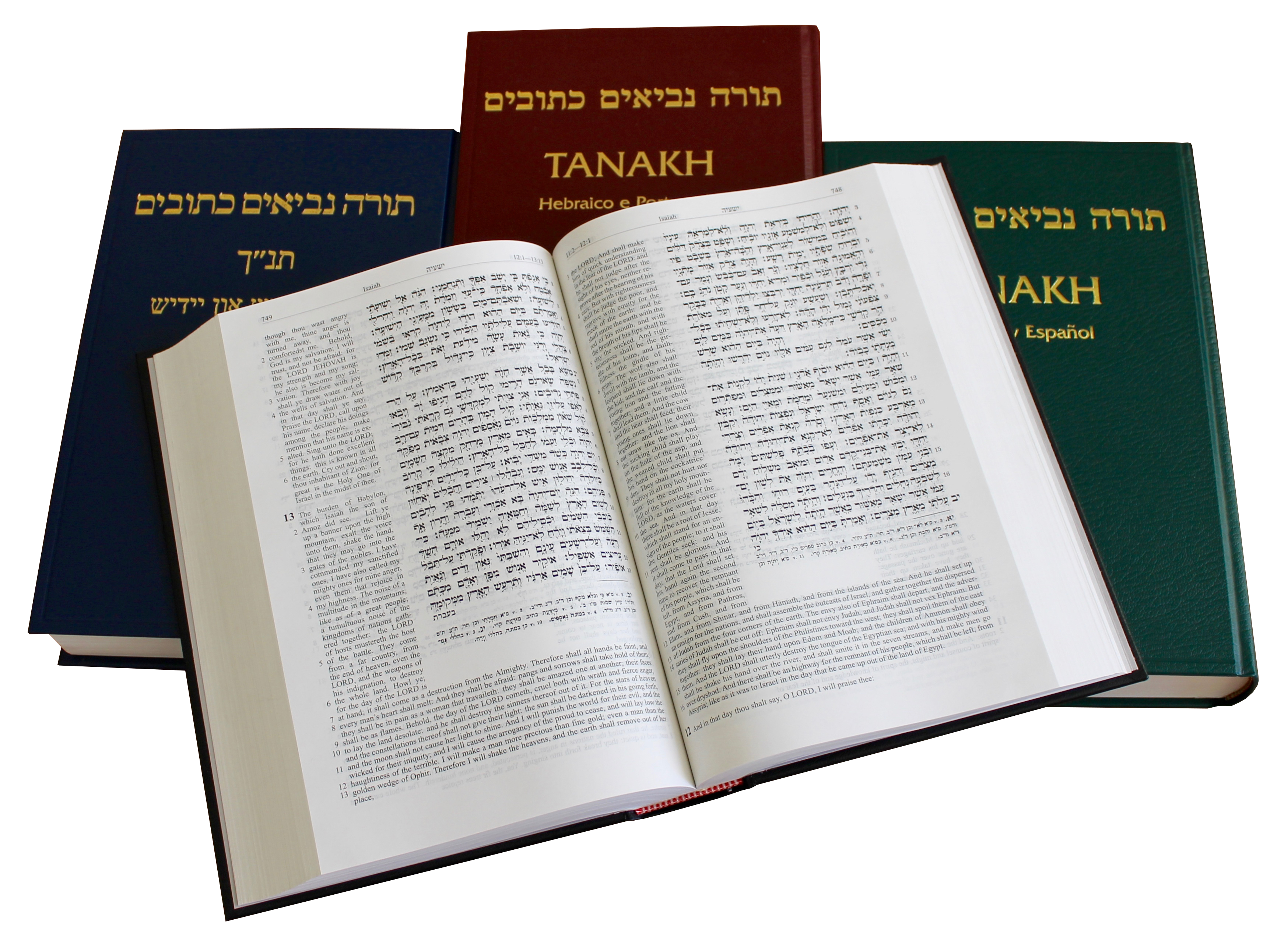 Order Our Bible Versions - Stichting Israel en de Bijbel